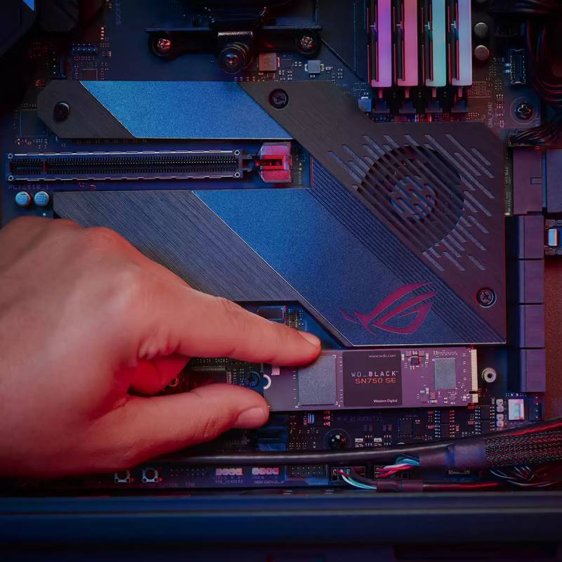 การ์ดเอสเอสดี WD SSD 500GB M.2 PCIe/NVMe R3600MB/s W2000MB/s 5 Year ...